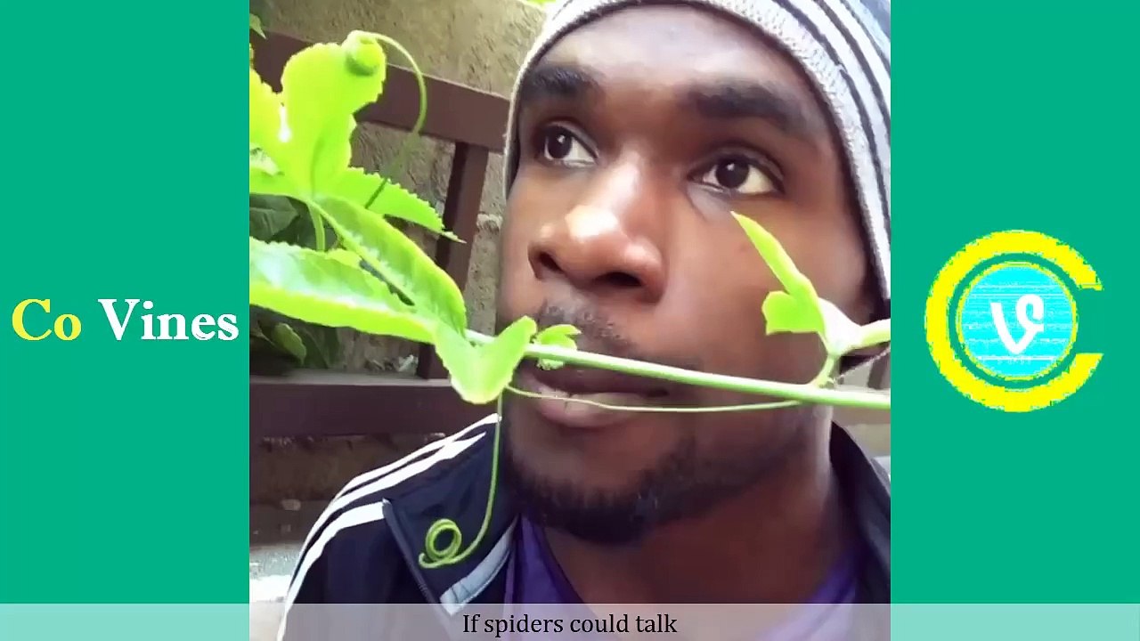 DARIUS BENSON Vines Vs REGGIE COUZ Vines (W_Titles) Best Vine ...