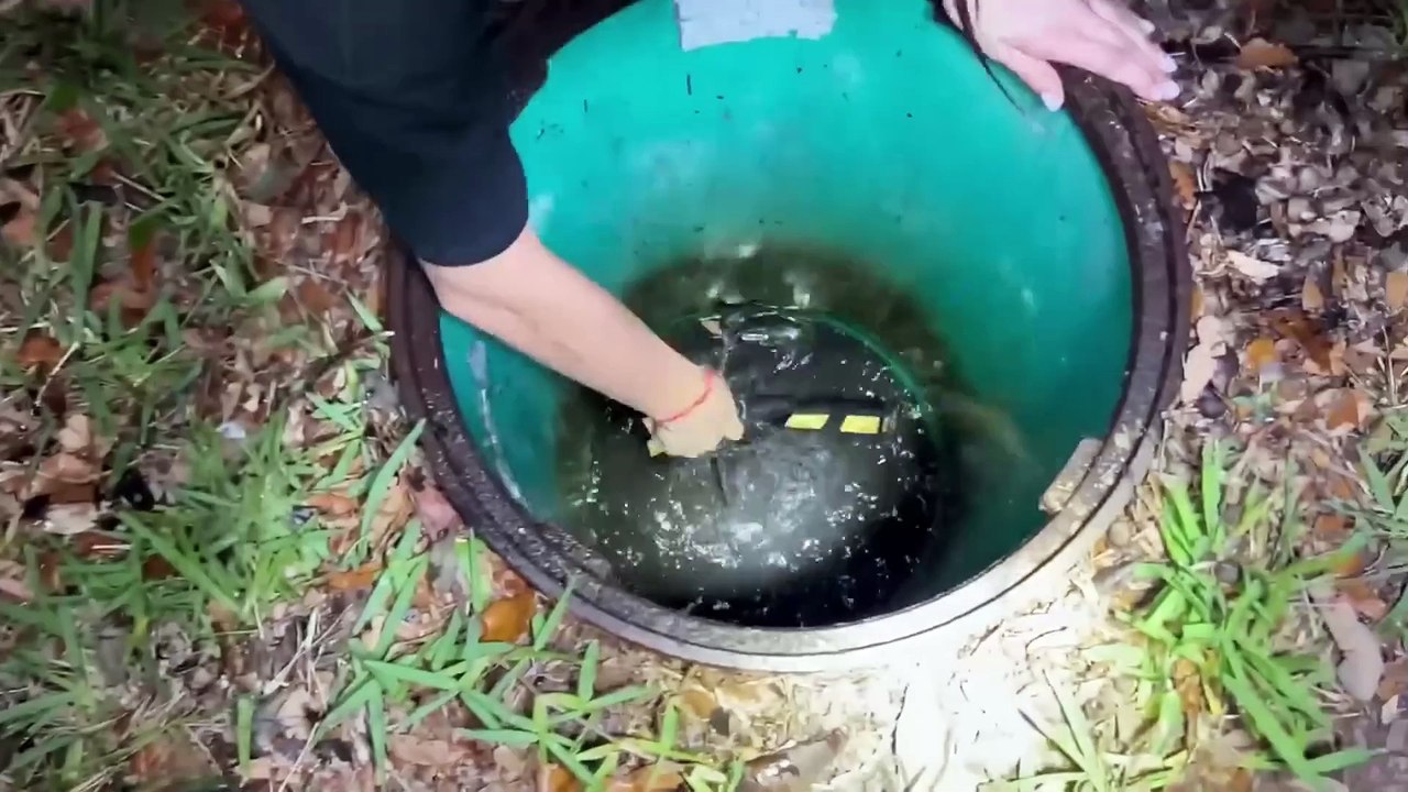 I Found a Sewer INFESTED with MONSTER AQUARIUM FISH! Bass fishing ...
