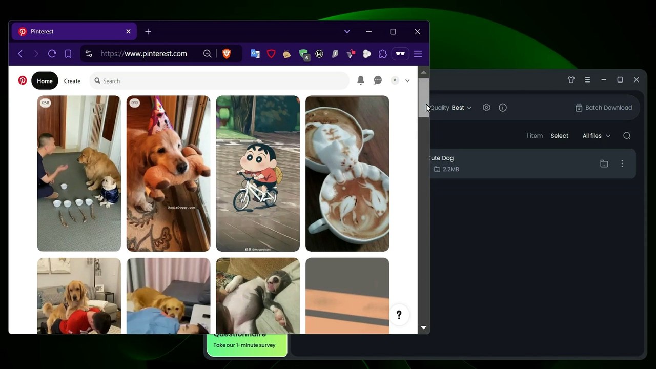 EVD_Pinterest Video Sample Download - video Dailymotion