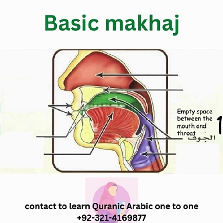 Basic makhrij - video Dailymotion