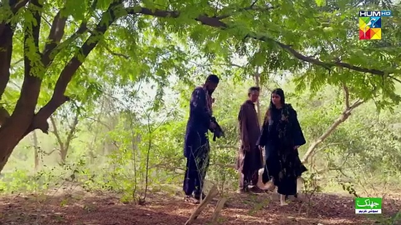 Teri Chhaon Mein - Ep 21 [CC] - 17 Oct 2024 - Jhalak Beauty Cream ...