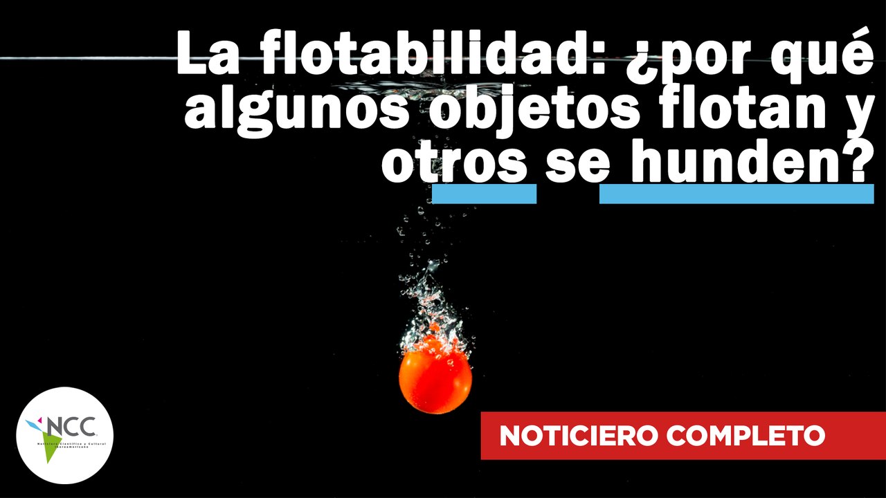 La flotabilidad: ¿por qué algunos objetos flotan y otros se hunden ...