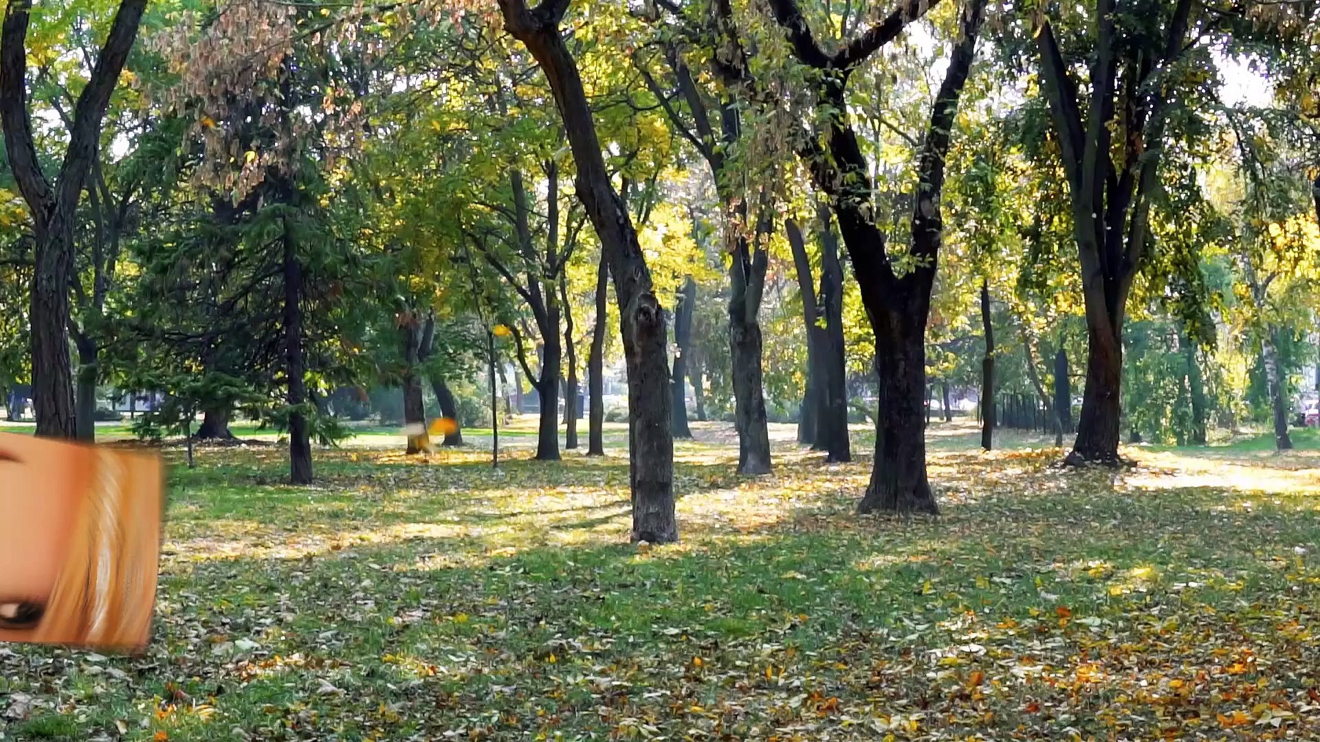 Redecanais One Tree Hill