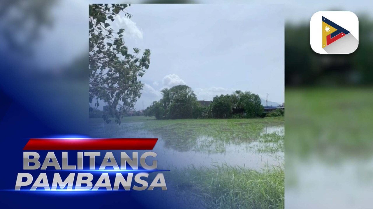 Higit P84-M halaga ng pinsala sa agrikultura, naitala sa pananalasa ng ...