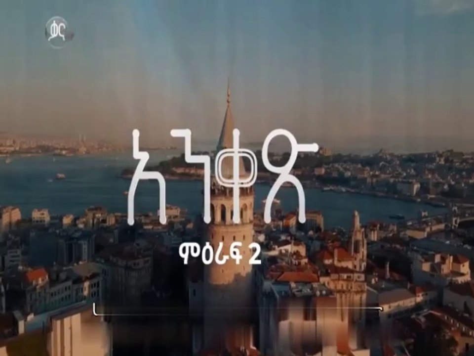 15 - video Dailymotion