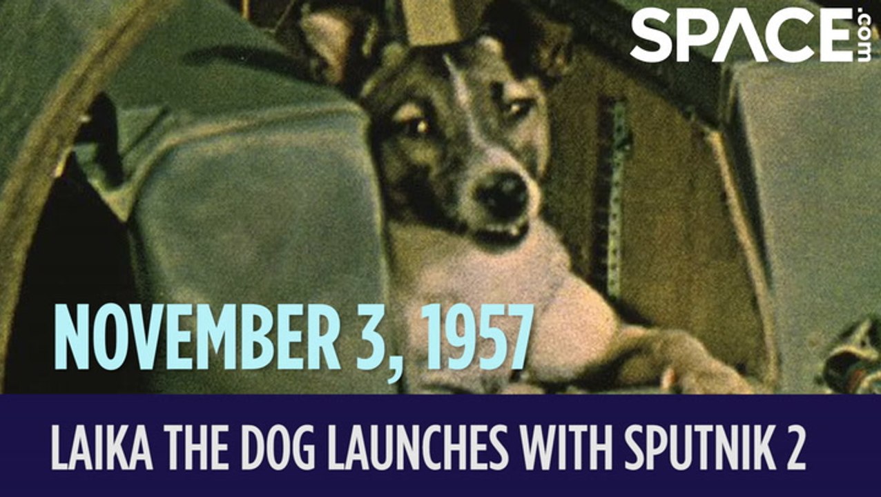 OTD In Space - November. 3: Laika The Dog Launches With Sputnik 2 ...