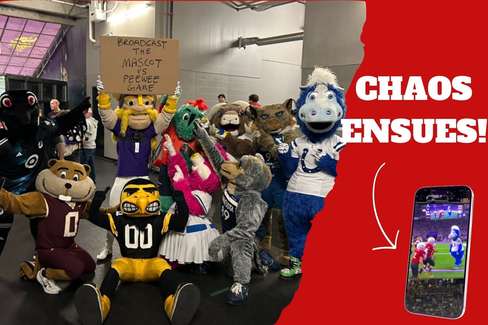 Nfl Mascots Fights
