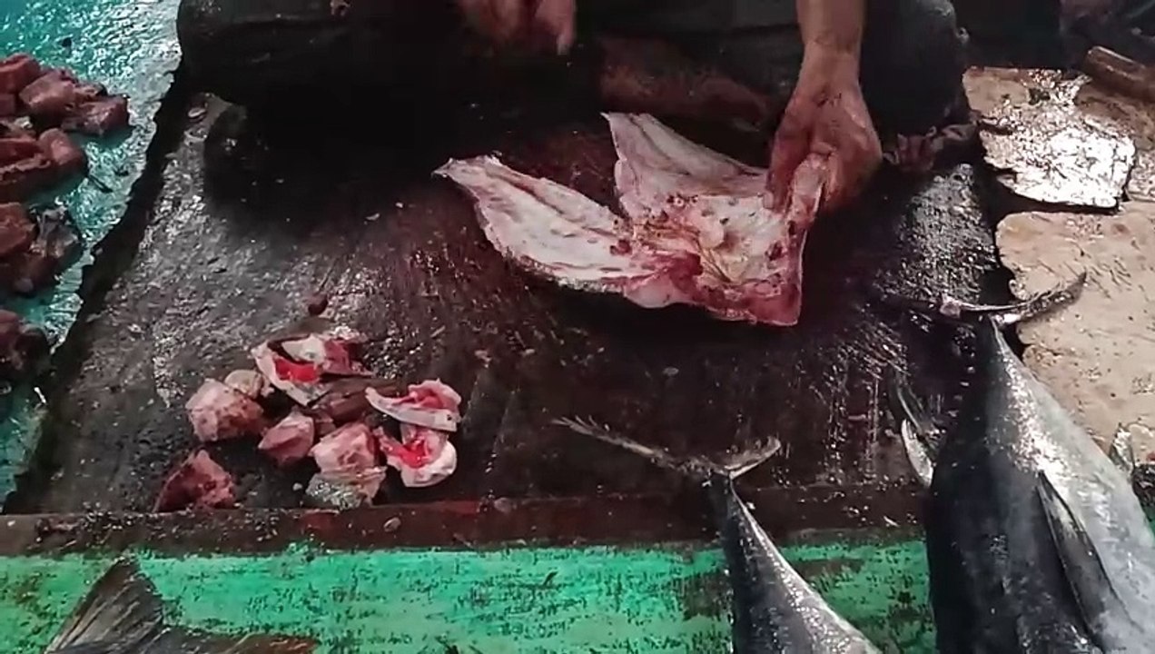 Amazing Giant Catla Fish Cutting | Professional Bocha Fish Slicing ...