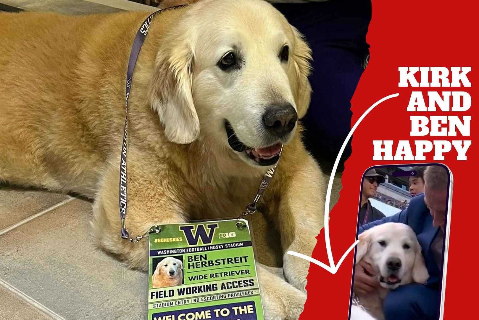 Kirk Herbstreit in one of his dog Ben's last happy moments on the football field - MARCA TV English