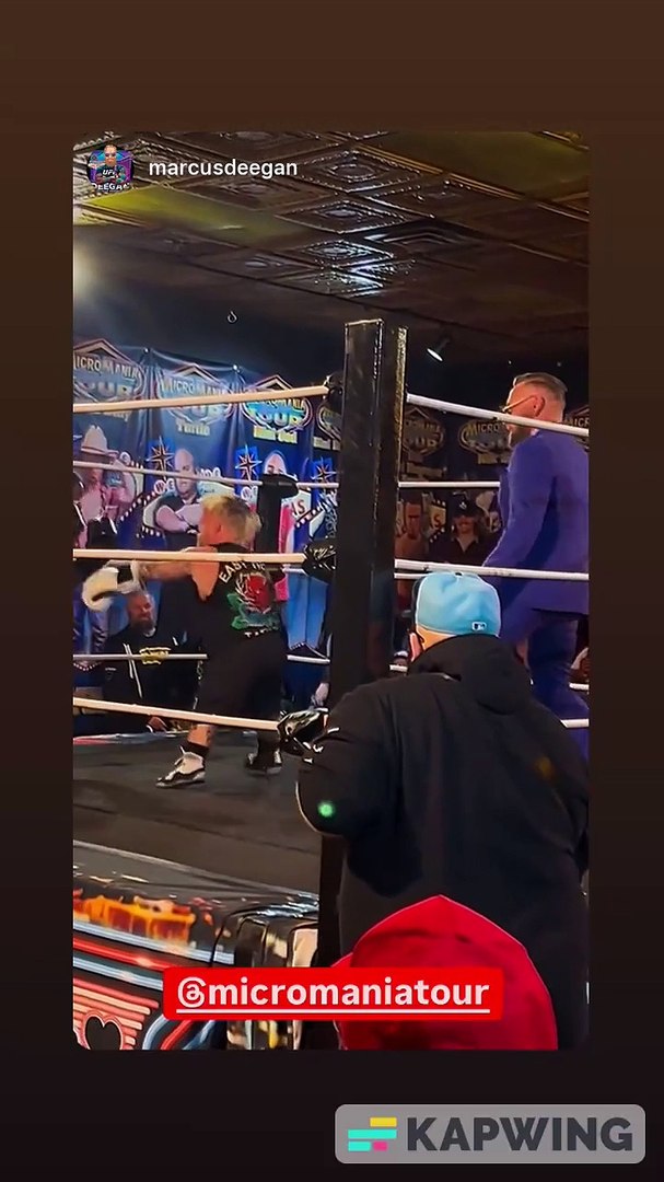 MicroMania Tour did another version of the Jake Paul vs Mike Tyson with ...
