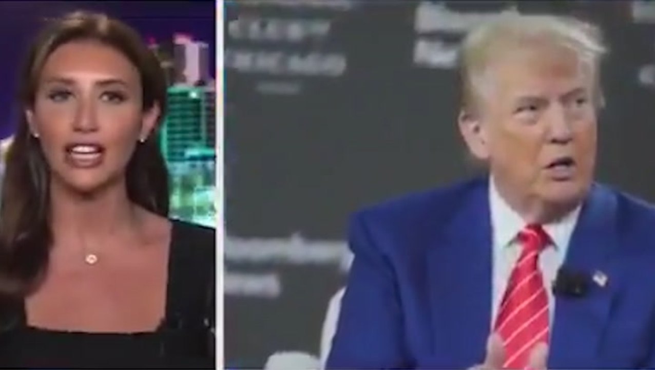 Trump ally hints she could serve as his press secretary - video Dailymotion