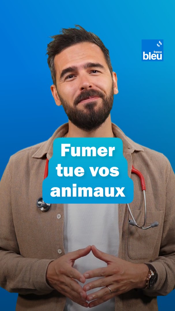 Animaux Fumant Des Cigarettes Oiseau Qui Fume La Cigarette 13790614