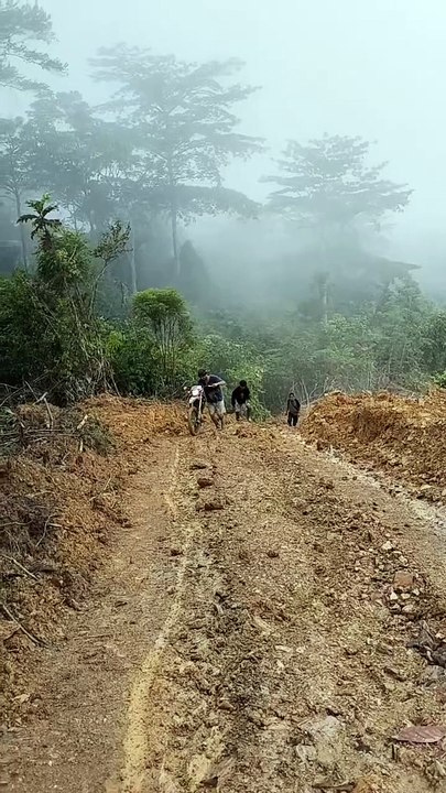 hutan embun - video Dailymotion