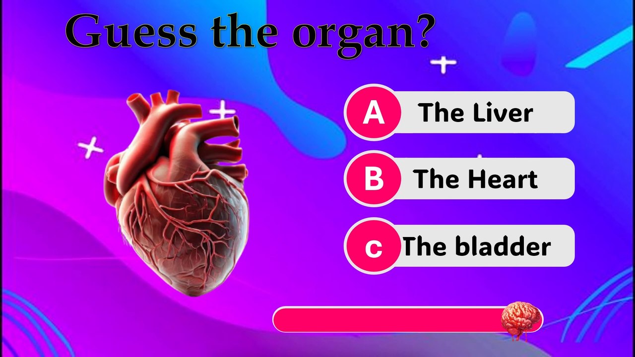 Can you Guess the Human organs?Basic Science Quiz for Kids | General ...