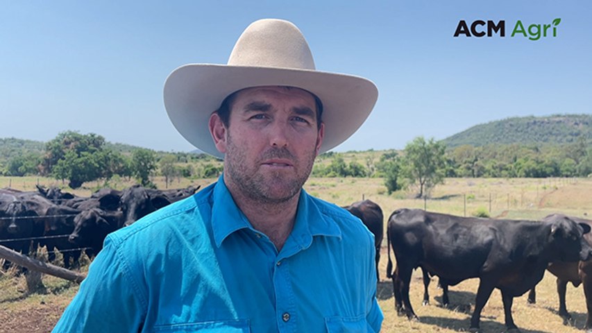 How a young couple aims to double carrying capacity of their cattle ...