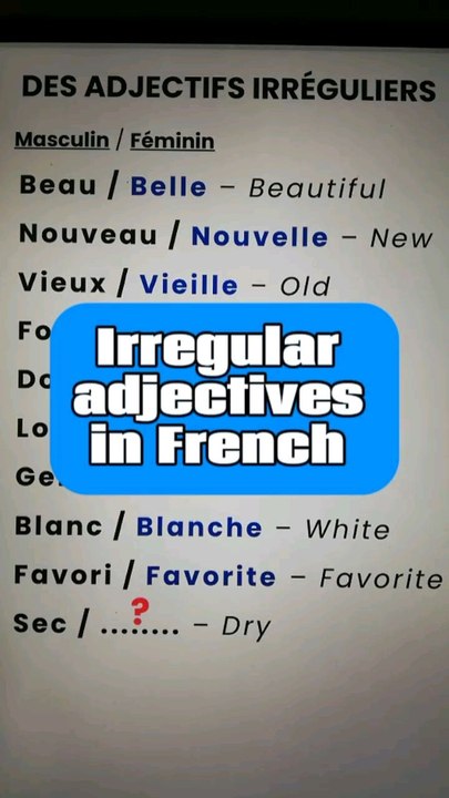 Irregular adjectives in French🇨🇵|Learn and speak french with Alain and ...