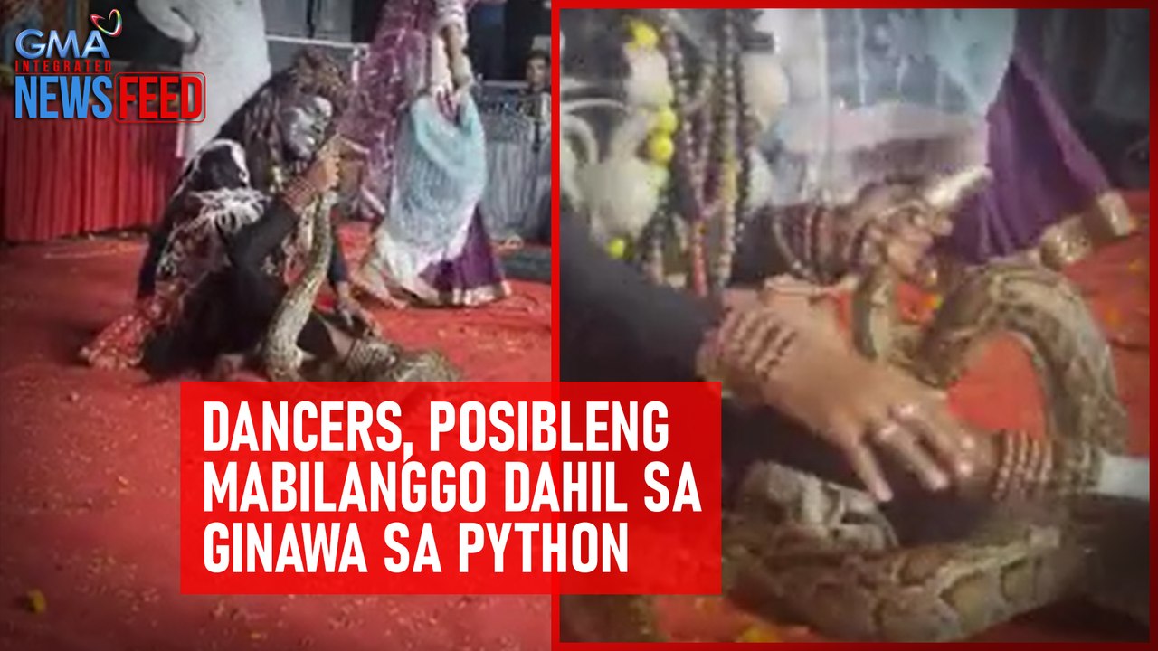 Dancers, posibleng mabilanggo dahil sa ginawa sa python | GMA Integrated Newsfeed - video ...