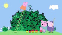 Peppa Pig _ Bug Hotel - video Dailymotion