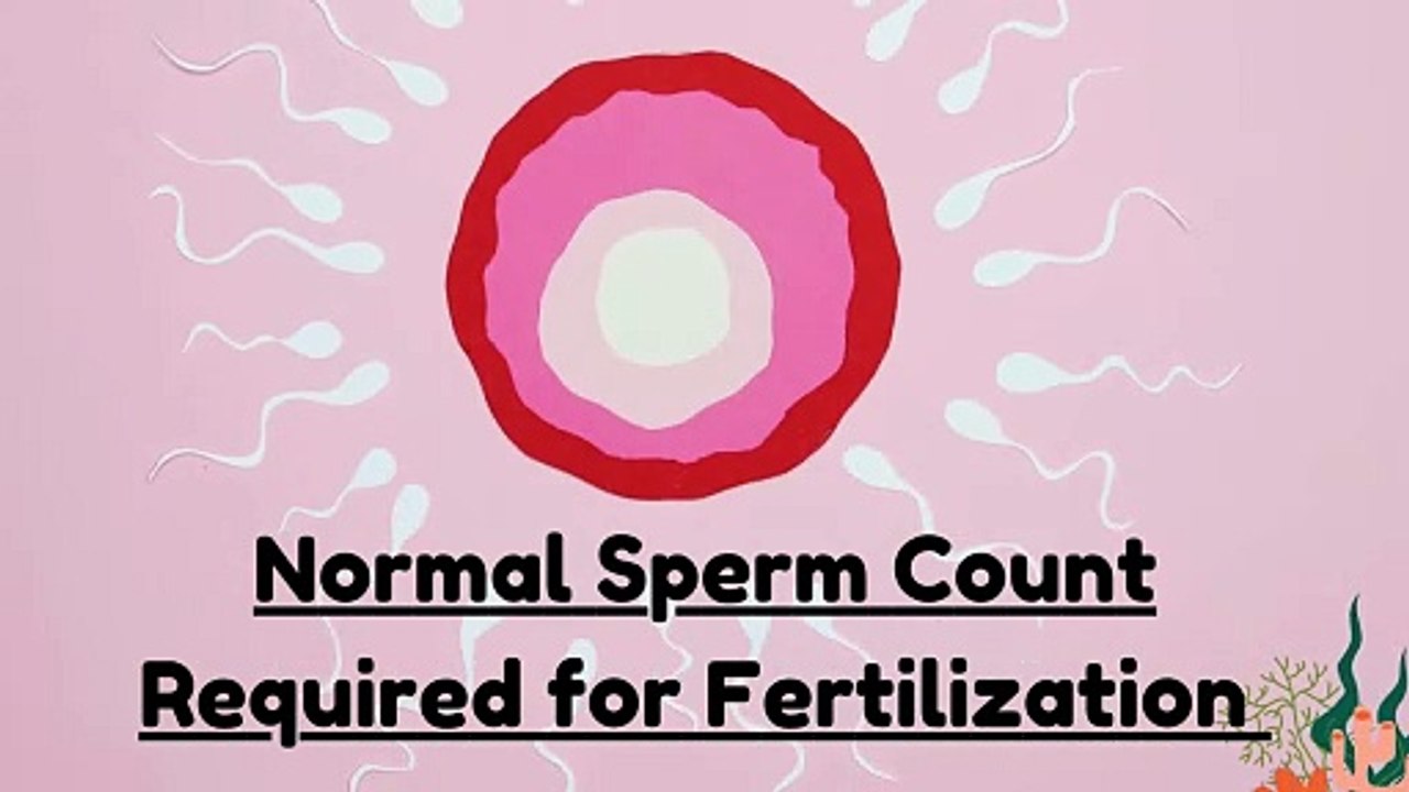 Normal Sperm Count in Semen | Minimum Sperm Count for Fertilization ...