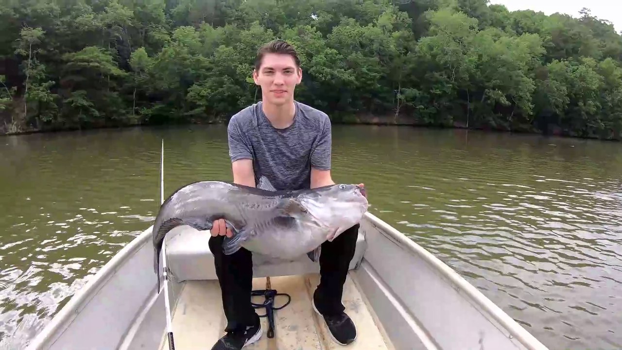MY COUSIN CATCHES A HUGE 25 POUND 39 INCH CATFISH HIS PB.!!!!!! - video ...
