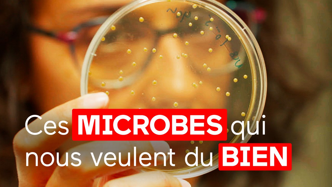 Ces microbes qui vous veulent du bien - Vidéo Dailymotion