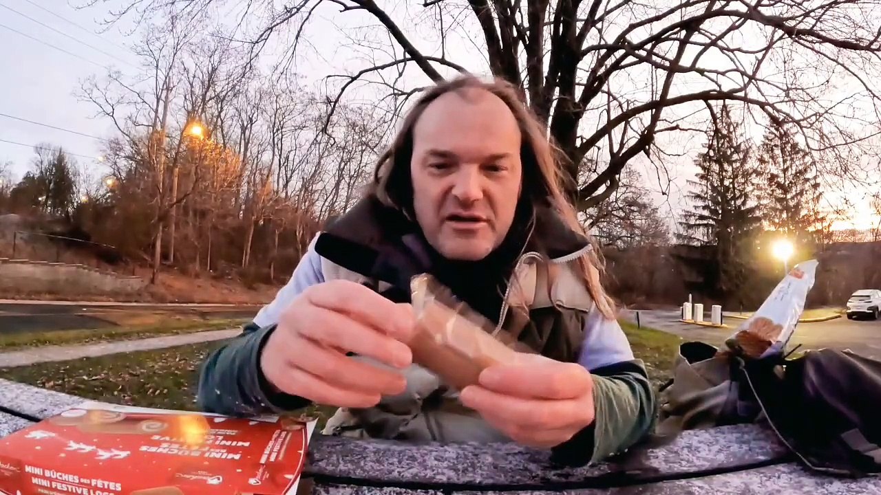 Vachon Mini Festive Logs Gingerbread Cakes Limited Edition Review ...