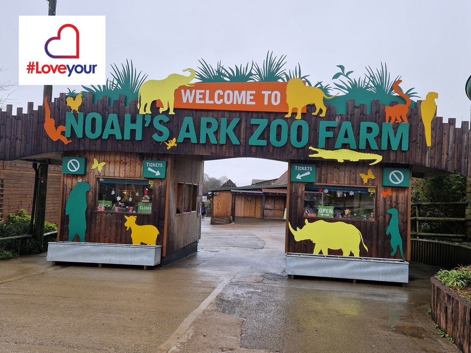 Noah's Ark Zoo Farm celebrates 25th anniversary with exciting new ...