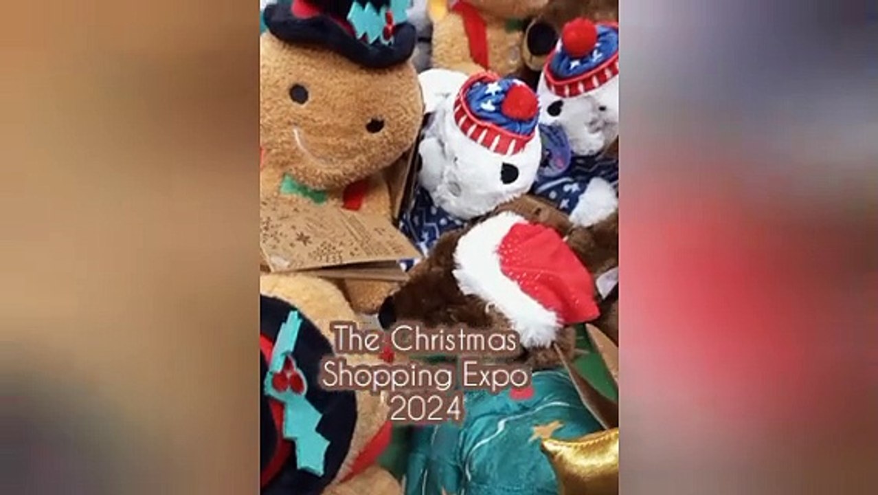 The Christmas Shopping Expo2024 - video Dailymotion