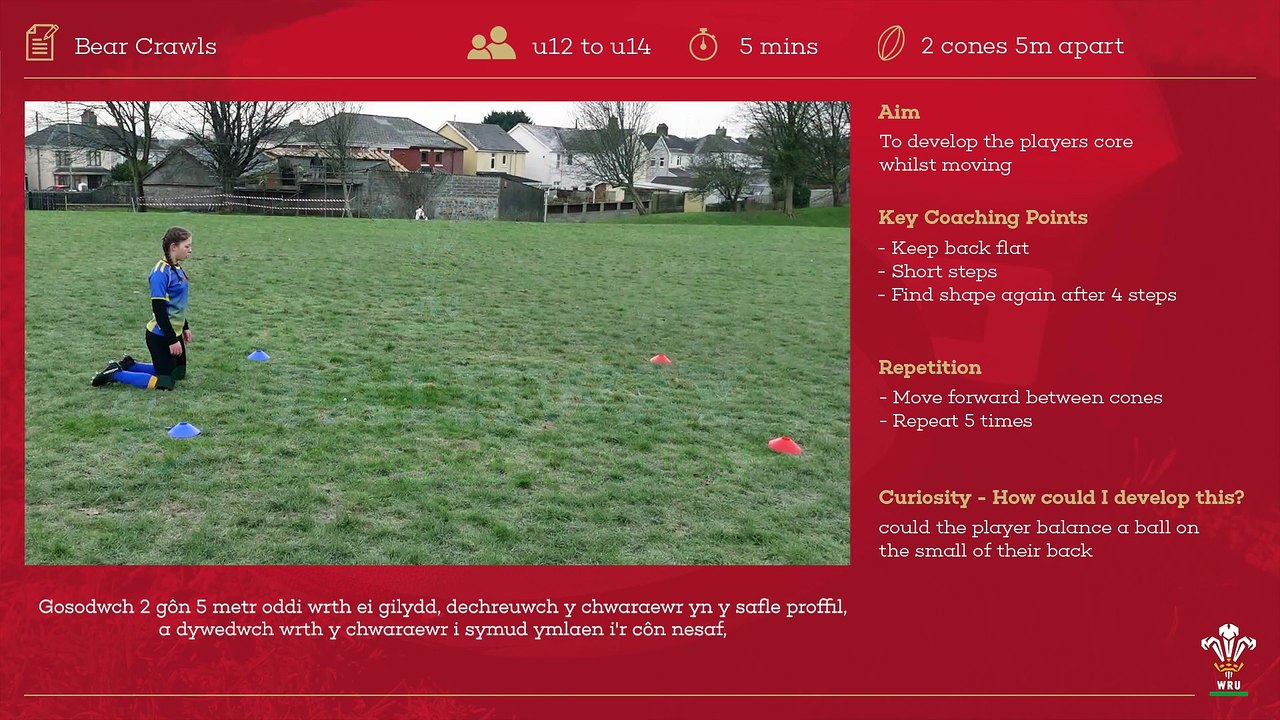 06 Bear Crawls - video Dailymotion