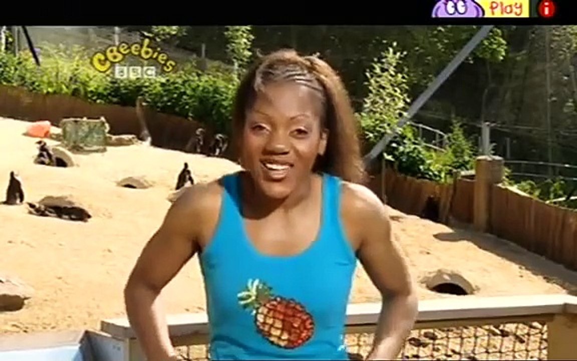 Boogie Beebies Penguin Bop Cbeebies - video Dailymotion