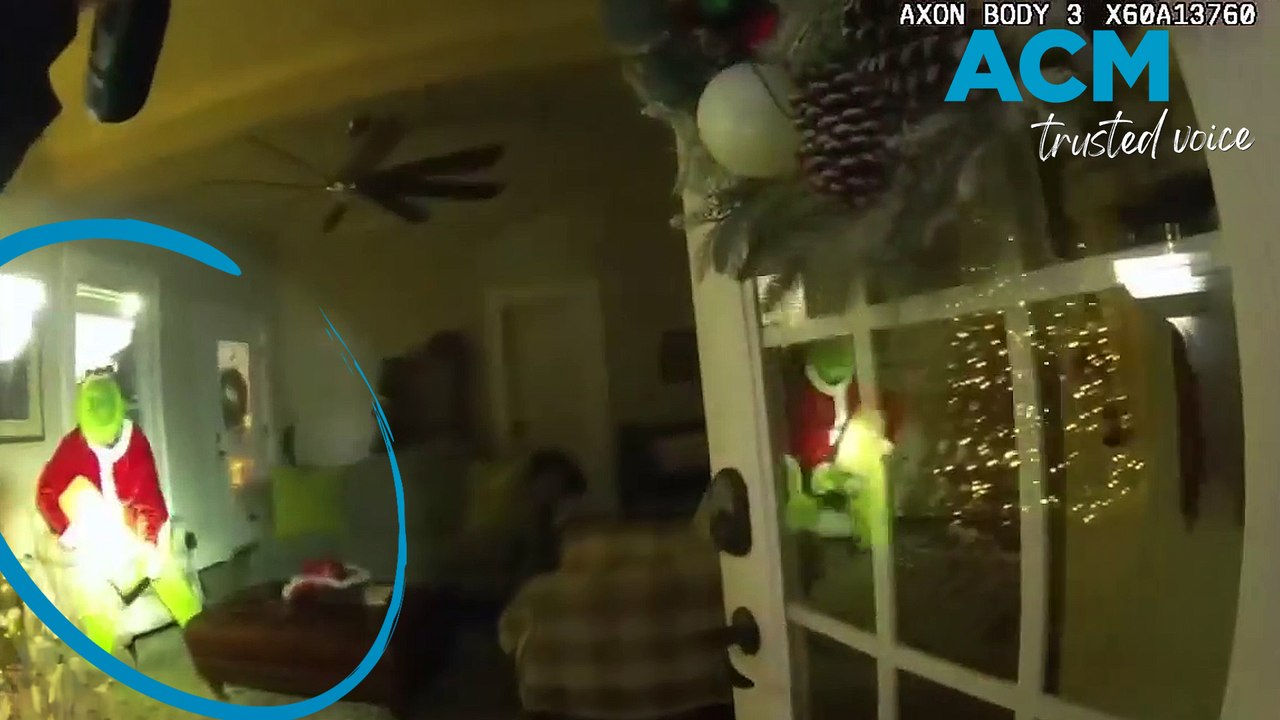 The Grinch caught by police trying to steal Christmas tree - video ...