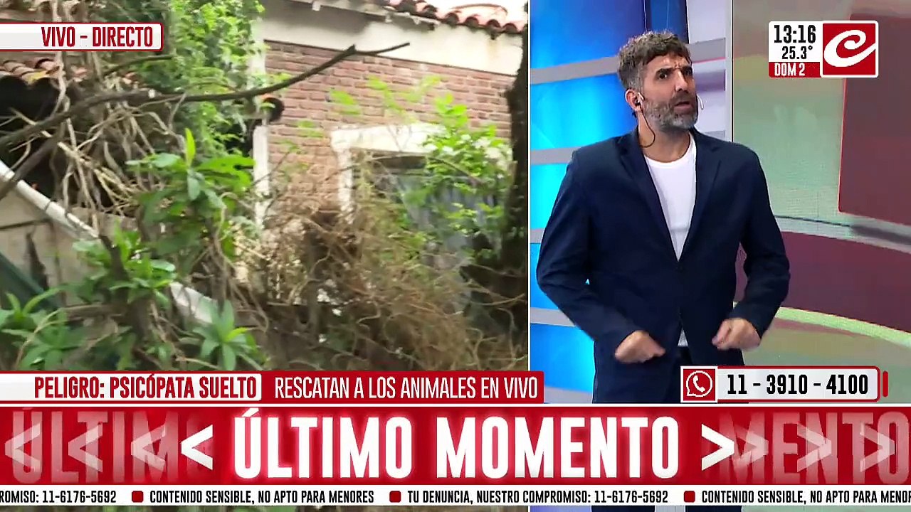 Psicópata suelto secuestra perros y gatos: los mata y después lo ...