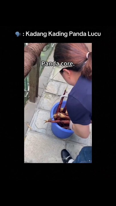 Hiburan Momen Funny Lucu Ghuyu 14 - Video Dailymotion