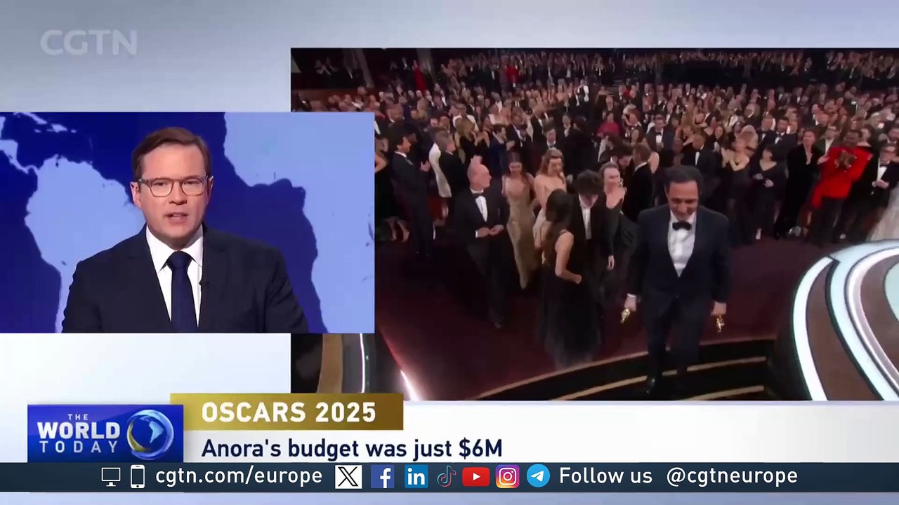 Film Critic Van Connor on Oscars' Surprise Wins & Future of Cinema ...