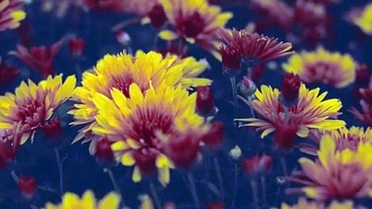 Sureh al Isra in Beautifull Voice - video Dailymotion