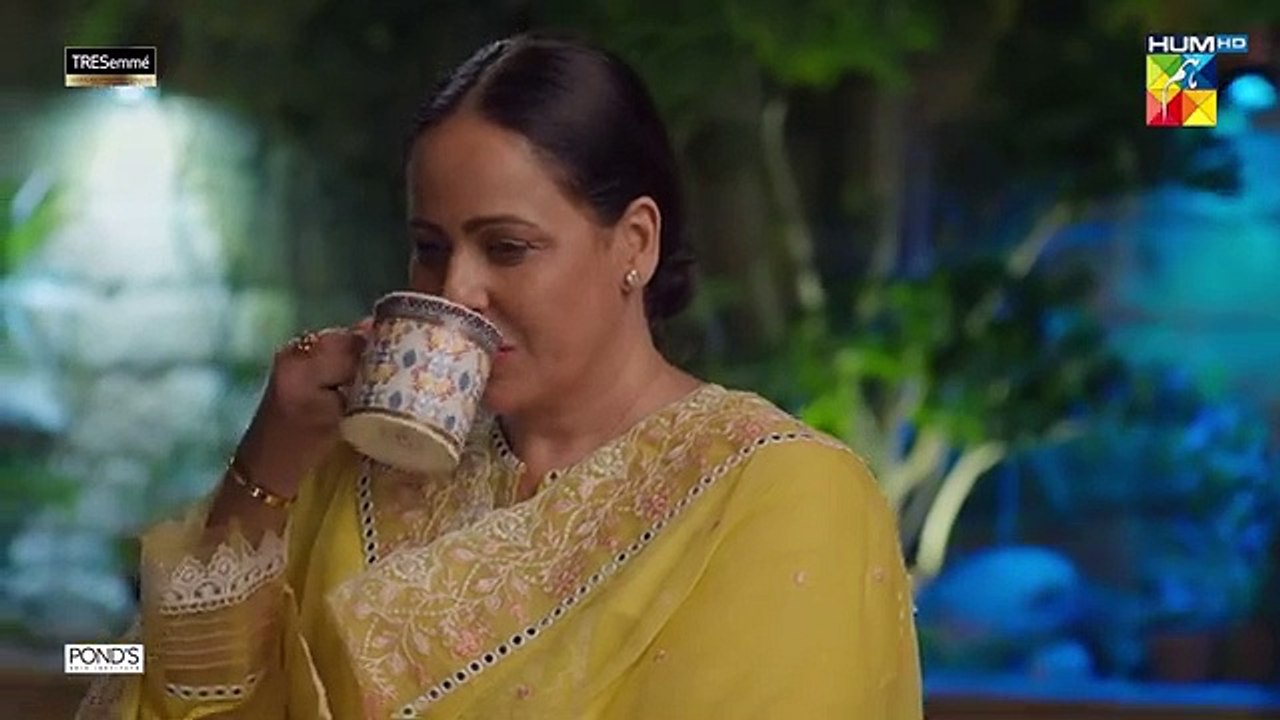 Meri Tanhai - Episode 01- 30th Dec 2024 - video Dailymotion