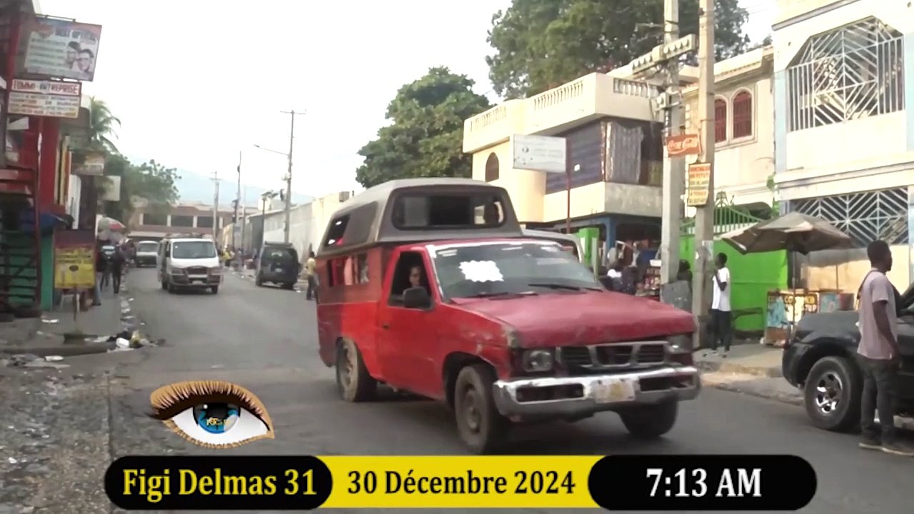 Figi Lari Delmas 30 Dec 2024 - video Dailymotion