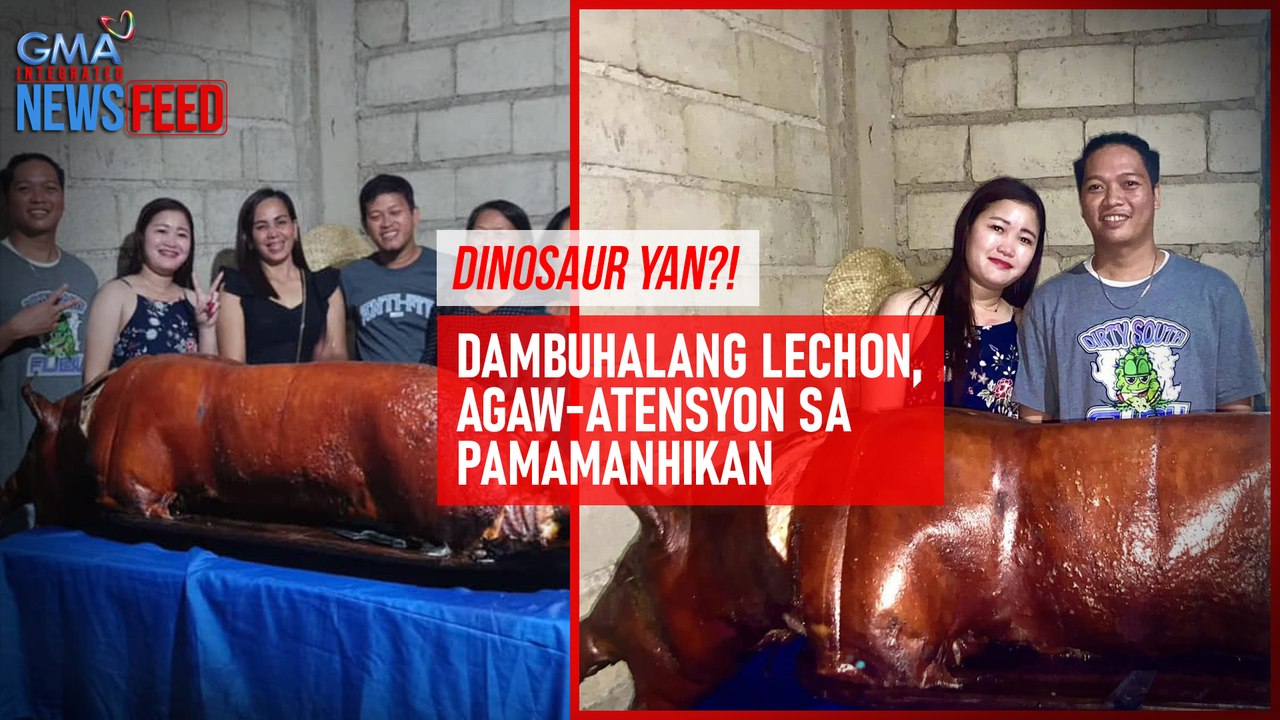 Dinosaur yan?! Dambuhalang lechon, agaw-atensyon sa pamamanhikan | GMA ...