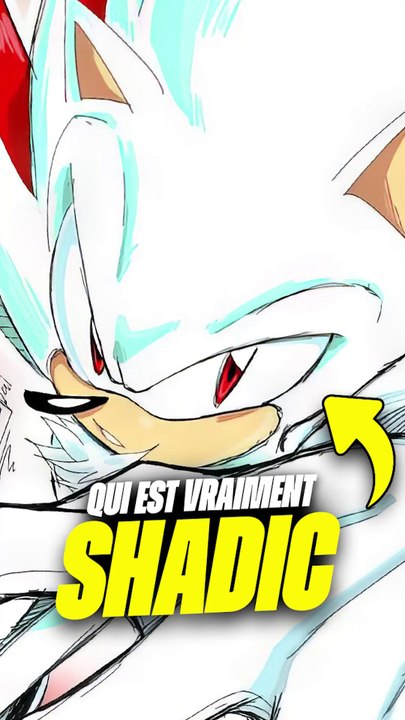 QUI est SHADIC !!! Explication des ORIGINES de SHADIC ! #shadic #sonic ...