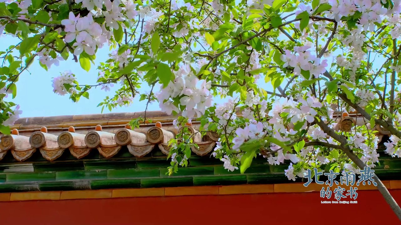 Exhibition of 2024 ISVC Outstanding Works《Letters From Beijing Swift ...