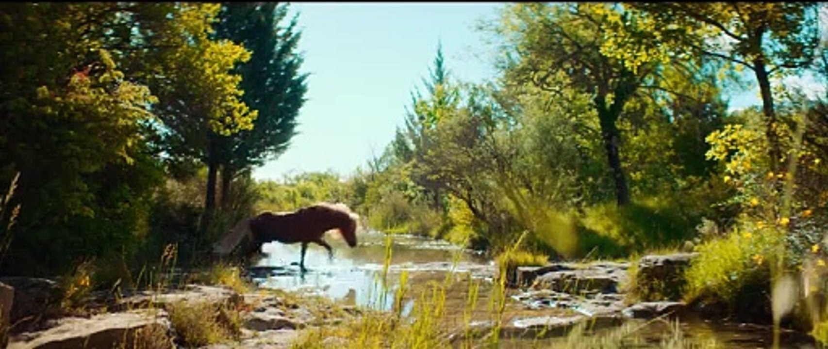 Poly (2020) - Bande annonce - Vidéo Dailymotion