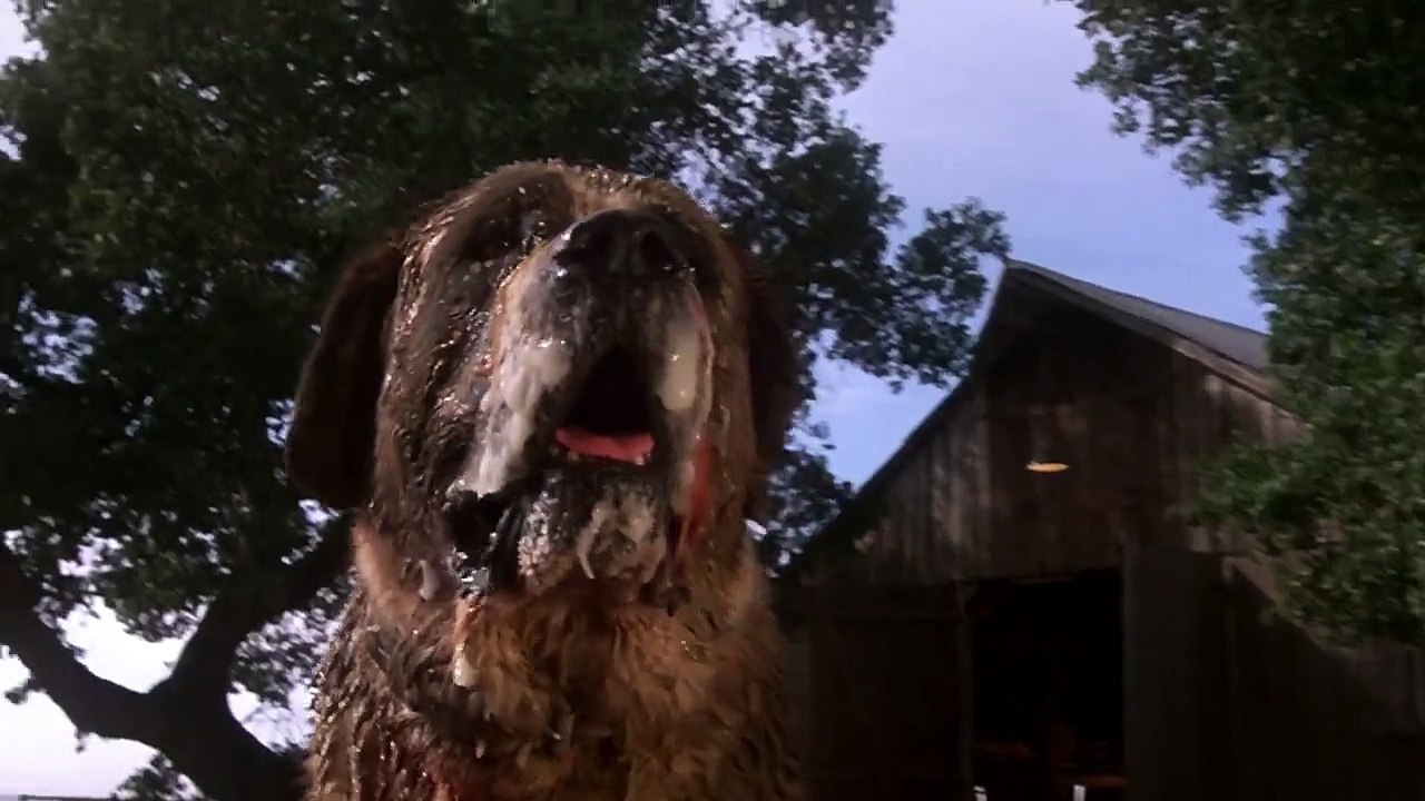 Cujo (1983) - Bande annonce - Vidéo Dailymotion