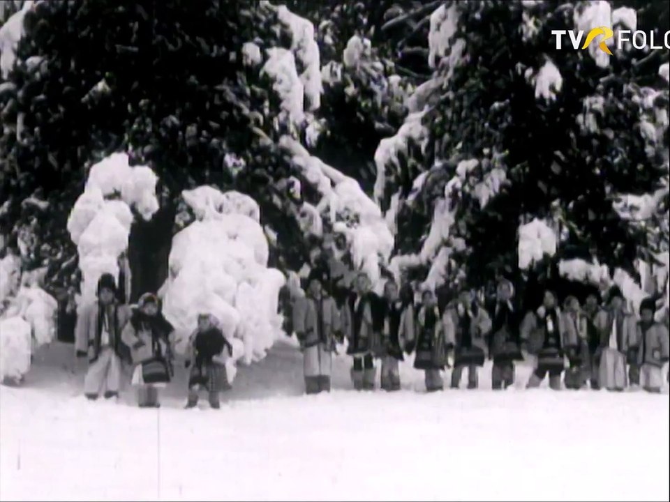 Grup de copii colindatori din Maramures - Florile dalbe de mar (arhiva ...