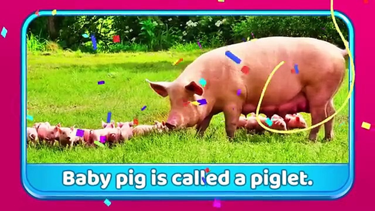 Animal_Names_for_Kids___Animals_Sounds_&_Baby_Names__Educational_Videos ...