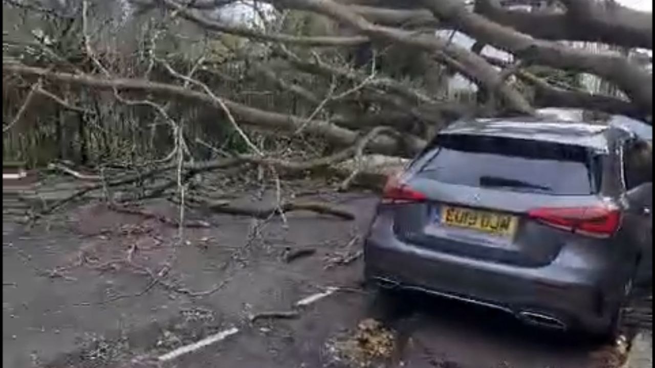 Storm Conall's arrival in London leaves car buried under an uprooted ...
