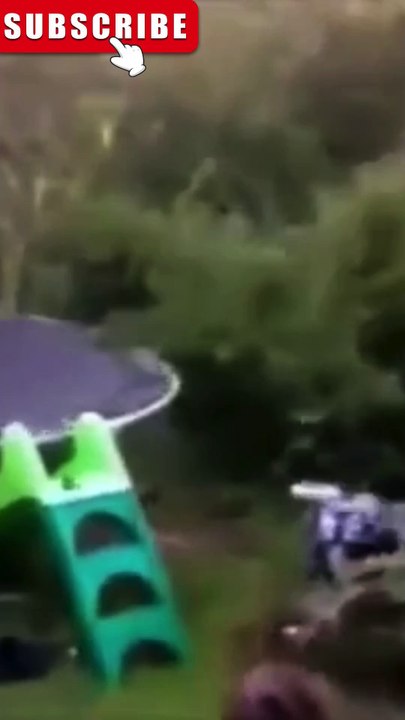 Epic Fails Compilation: Hilarious Moments Caught on Camera #memes # ...