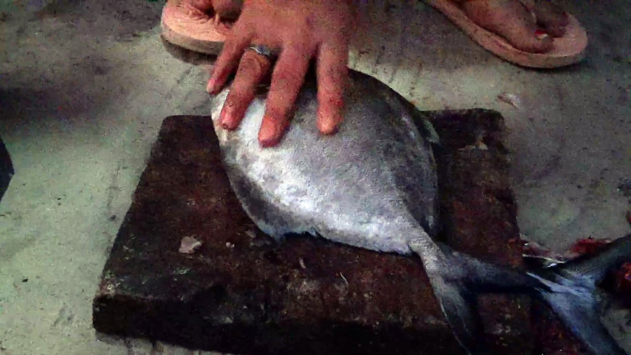 Black Pamphlet Fish Cutting at Home on Night Time - video Dailymotion