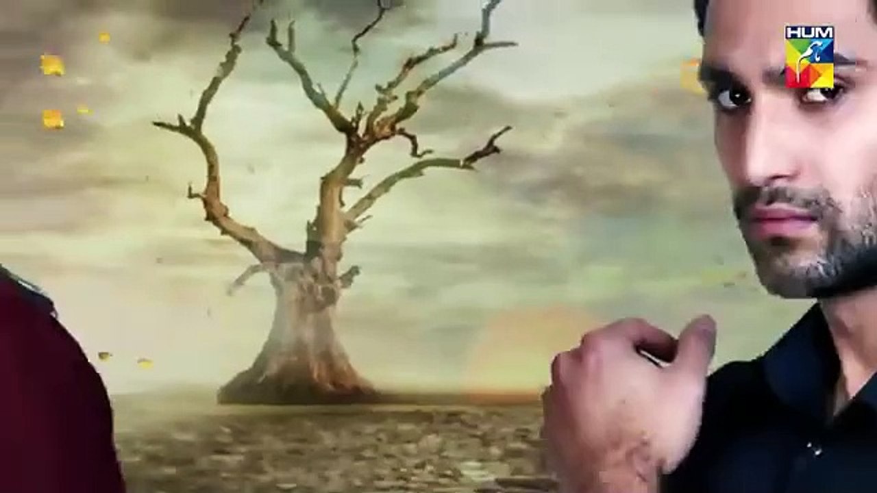 Yakeen Ka Safar Episode #19 HUM TV Drama - video Dailymotion