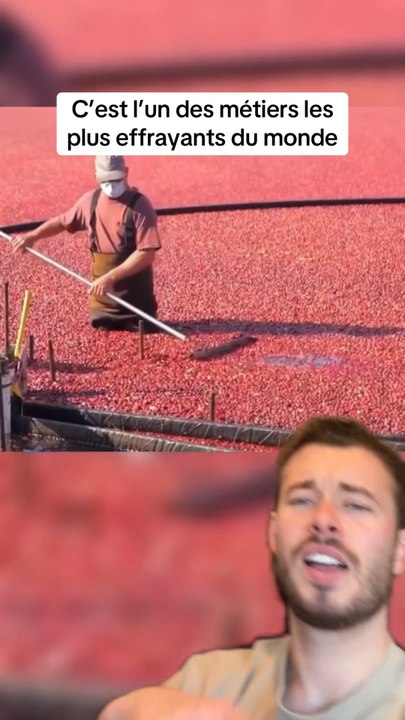 L’un des metiers les plus effrayants - Vidéo Dailymotion