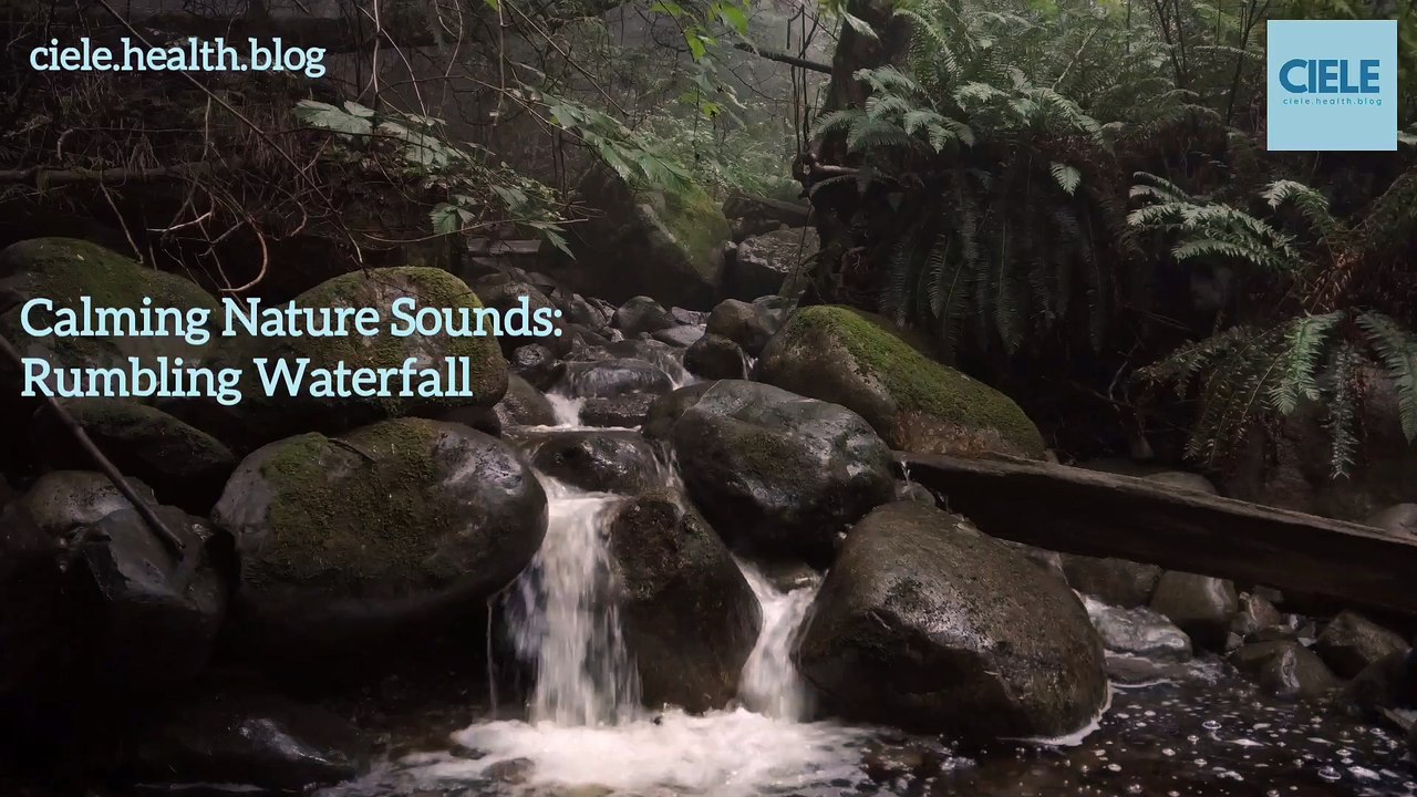 Calming Nature Sounds: Rumbling Waterfall - video Dailymotion